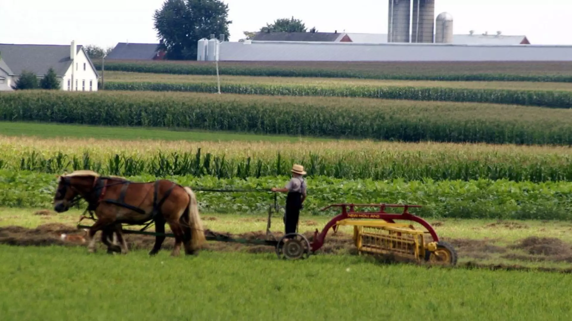 Amish Country, Indiana - Peoria Charter Travel